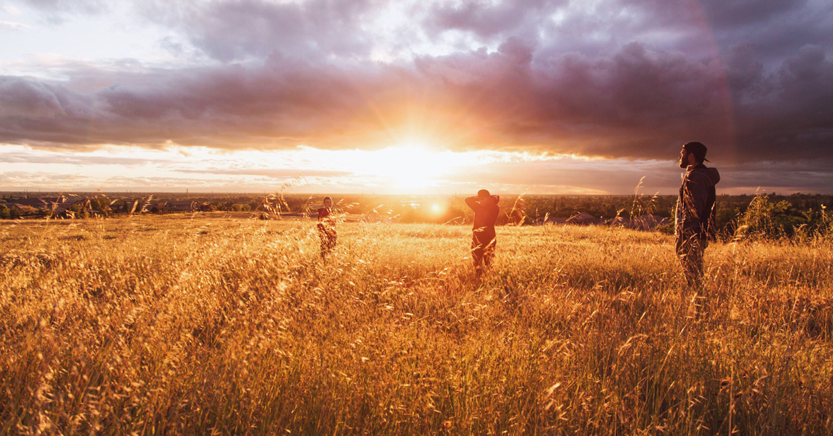 The Line On Brad Wall by Alan Hustak | Convivium