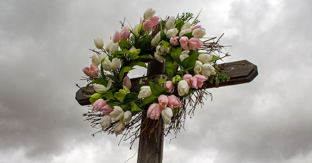 Saskatchewan’s Silent Spring by Alan Hustak | Convivium