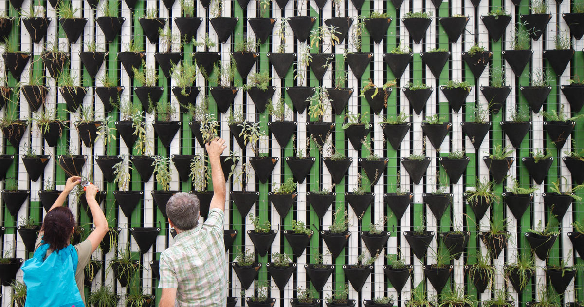 Why It Pays to Volunteer by Peter Jon Mitchell | Convivium